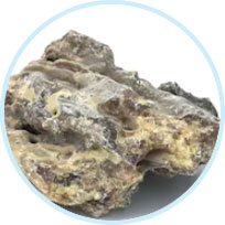 Prostara: #1 Urologist-Recommended Prostate Supplement